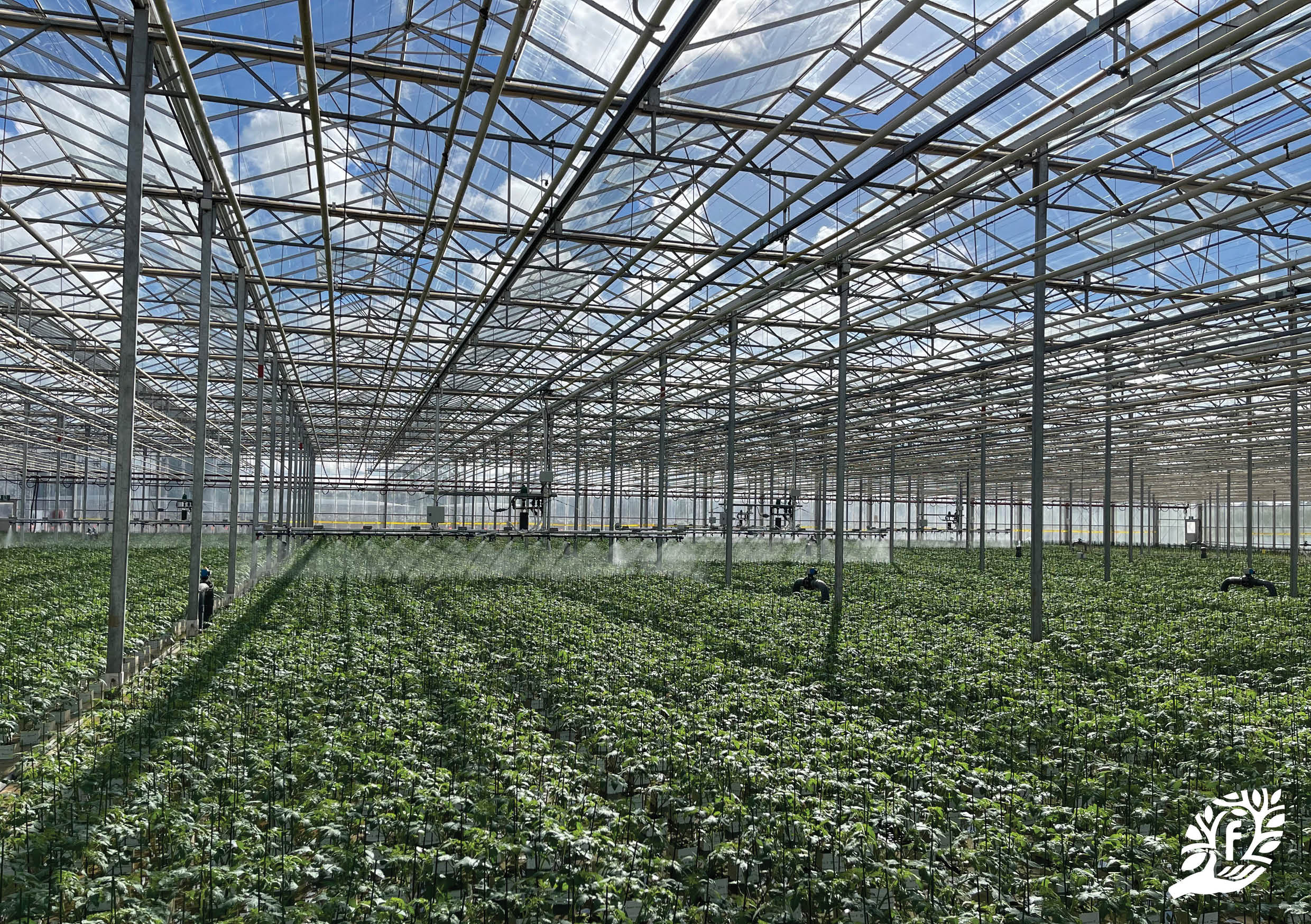 Northline visits International Freight customer Flavorite | Northline